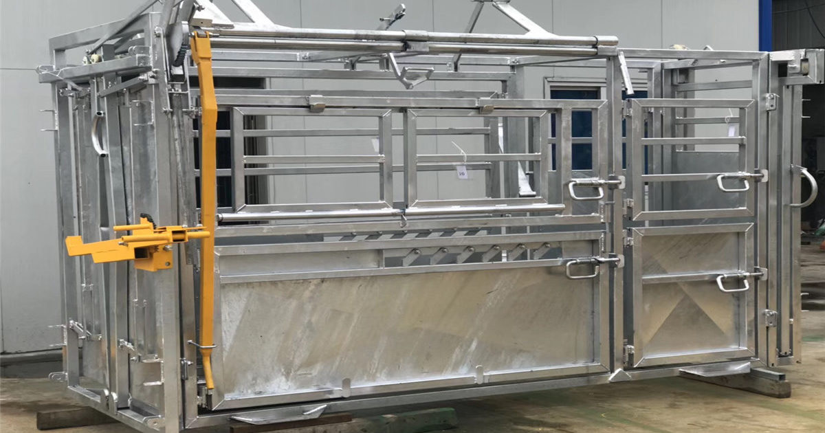 Galvanized Cattle Crush & Ramp - DB Fencing